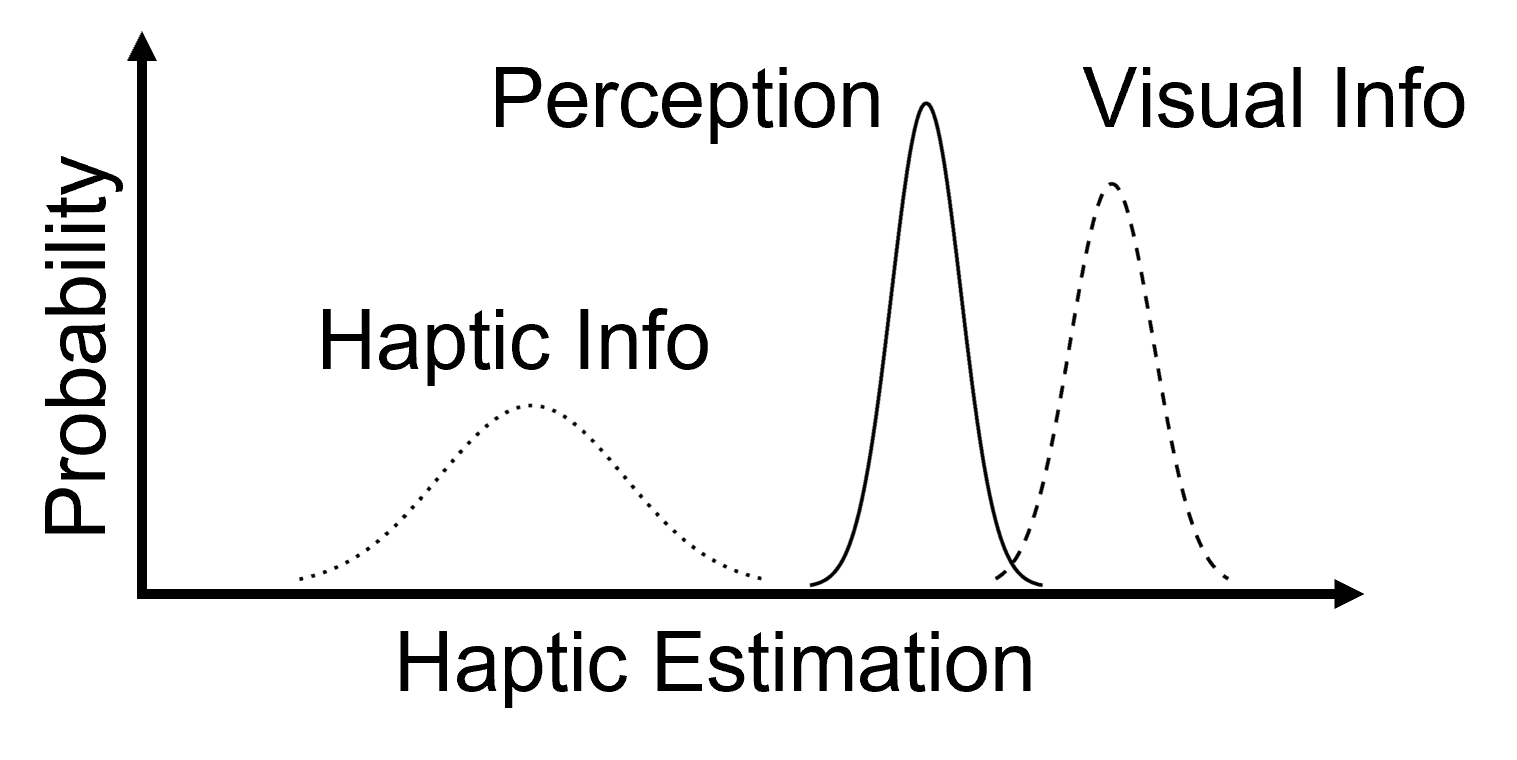 Leveraging Tendon Vibration to Extend Pseudo-Haptic Sensations in VR ...