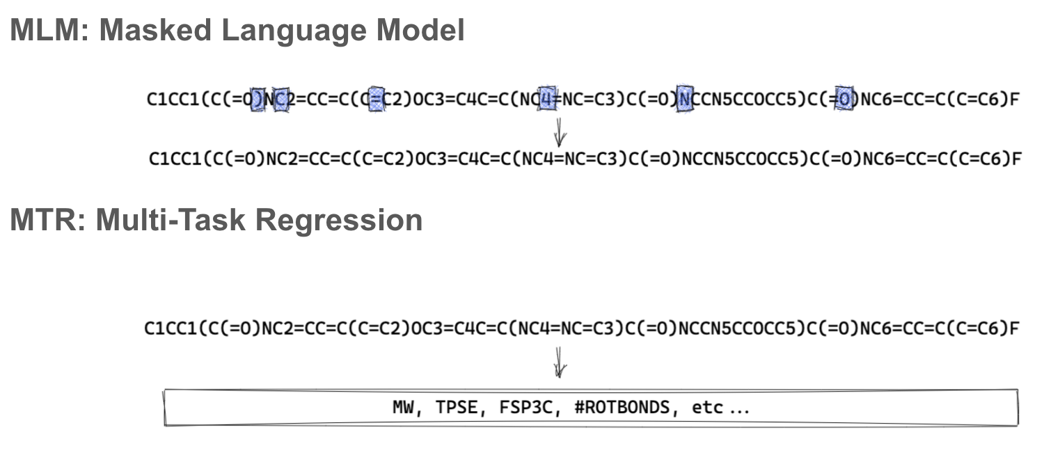 ChemBERTa-2: Towards Chemical Foundation Models | DeepAI