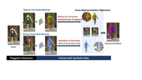 Self-supervised Human Mesh Recovery with Cross-Representation Alignment | DeepAI