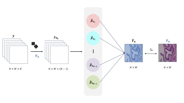 S^3R: Self-supervised Spectral Regression for Hyperspectral ... S^3R: Self-supervised Spectral Regression for Hyperspectral ...