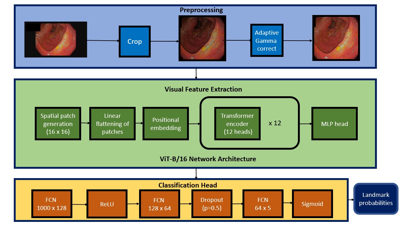 Colonoscopy Landmark Detection using Vision Transformers | DeepAI