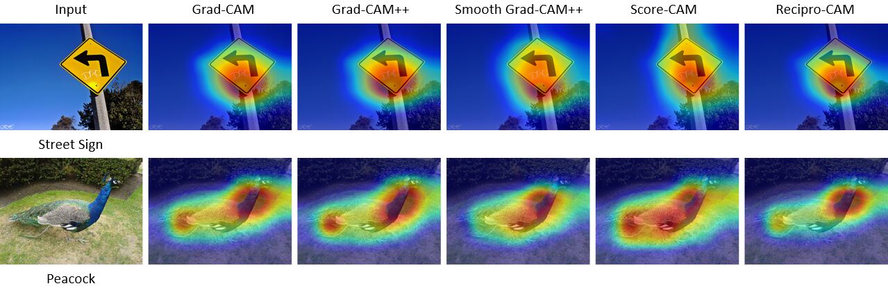 Recipro-CAM: Gradient-free reciprocal class activation map | DeepAI
