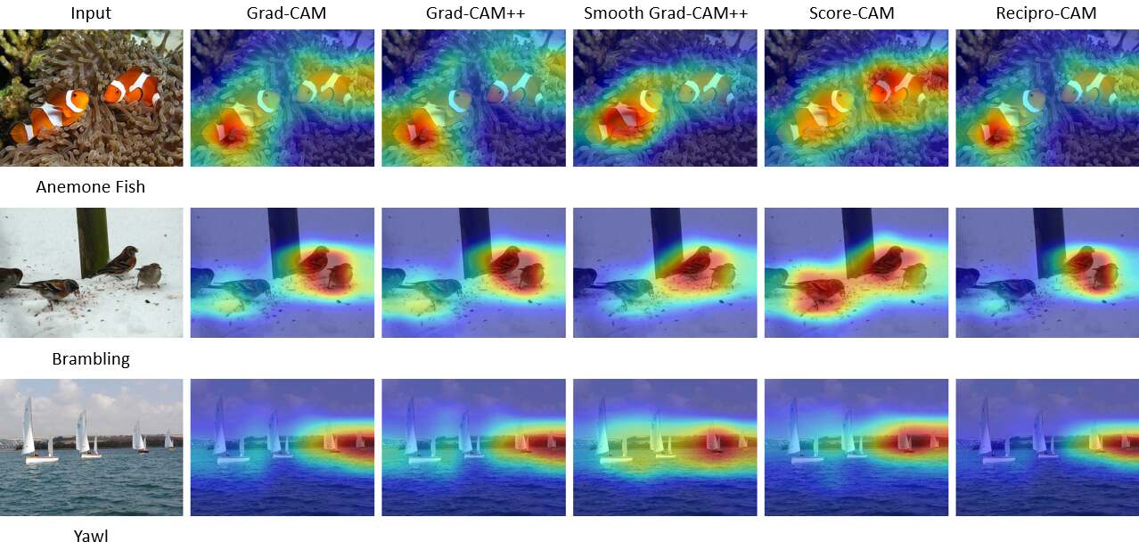 Recipro-CAM: Gradient-free reciprocal class activation map | DeepAI