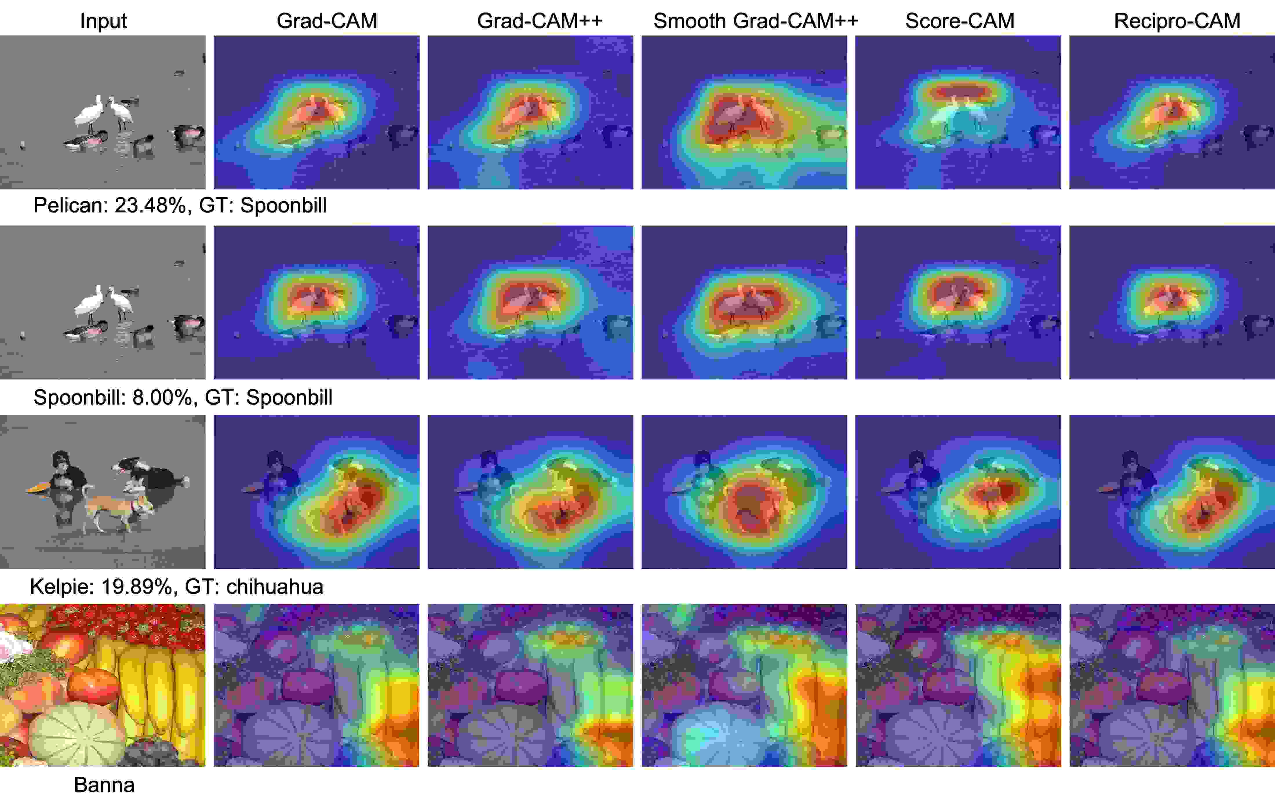 Recipro-CAM: Gradient-free reciprocal class activation map | DeepAI