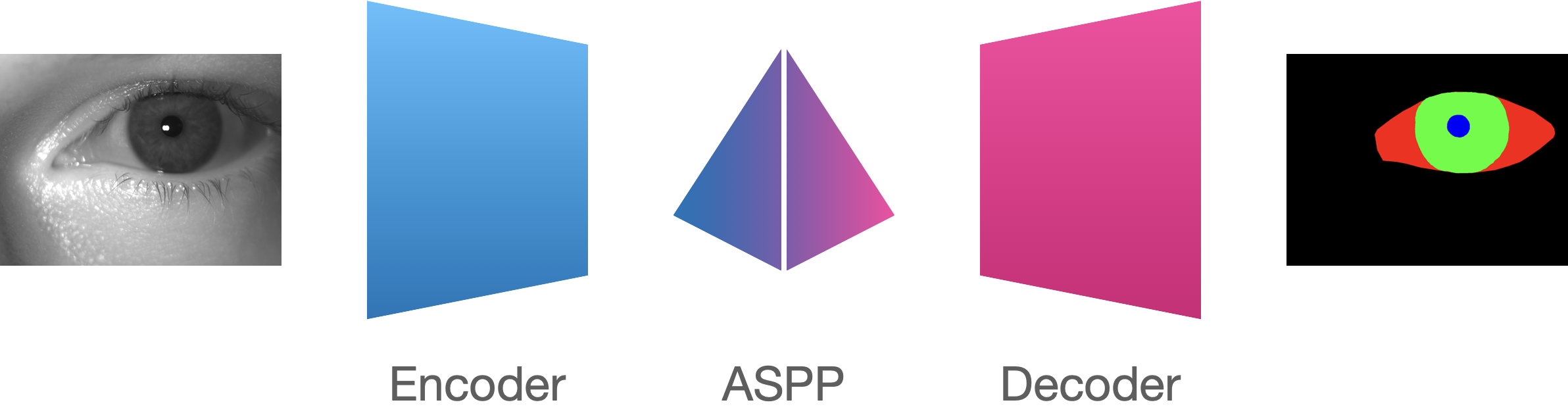 Two-headed eye-segmentation approach for biometric identification | DeepAI