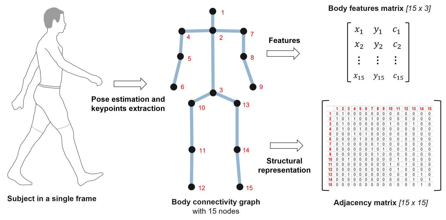 Gait-based Age Group Classification with Adaptive Graph Neural Network | DeepAI