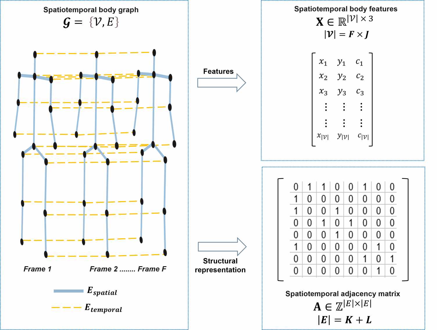 Gait-based Age Group Classification with Adaptive Graph Neural Network | DeepAI