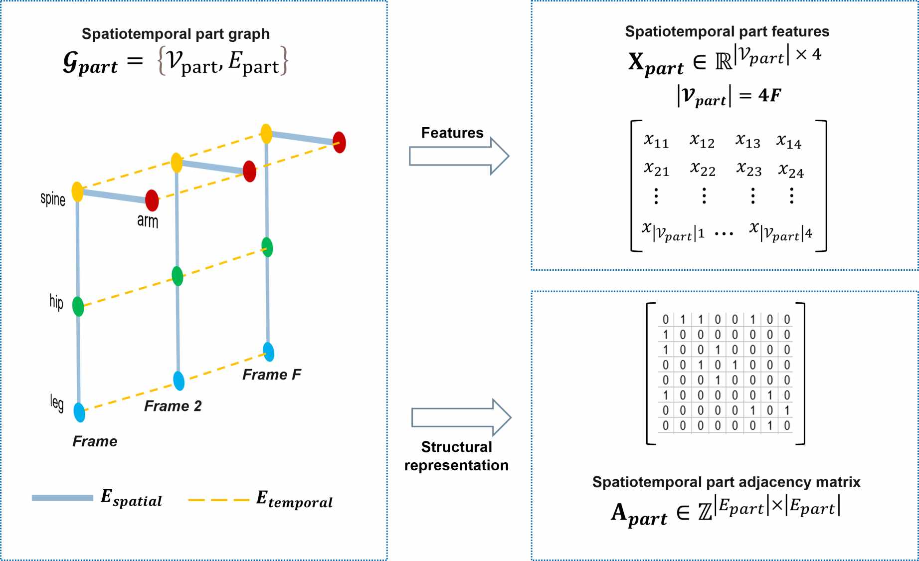 Gait-based Age Group Classification with Adaptive Graph Neural Network | DeepAI