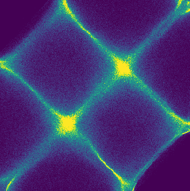 Flow Matching for Generative Modeling | DeepAI