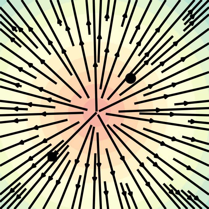 Flow Matching for Generative Modeling | DeepAI