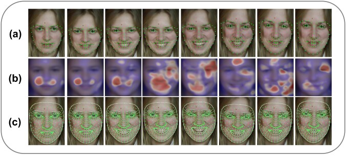 Less is More: Facial Landmarks can Recognize a Spontaneous Smile | DeepAI
