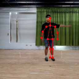 HuPR: A Benchmark for Human Pose Estimation Using Millimeter Wave Radar ...