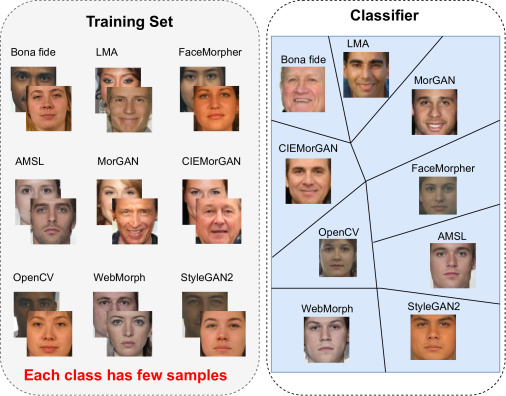Fusion-based Few-Shot Morphing Attack Detection and Fingerprinting | DeepAI