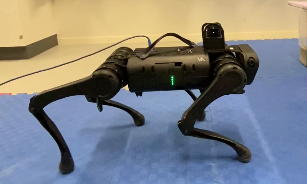 CPG-RL: Learning Central Pattern Generators for Quadruped Locomotion | DeepAI