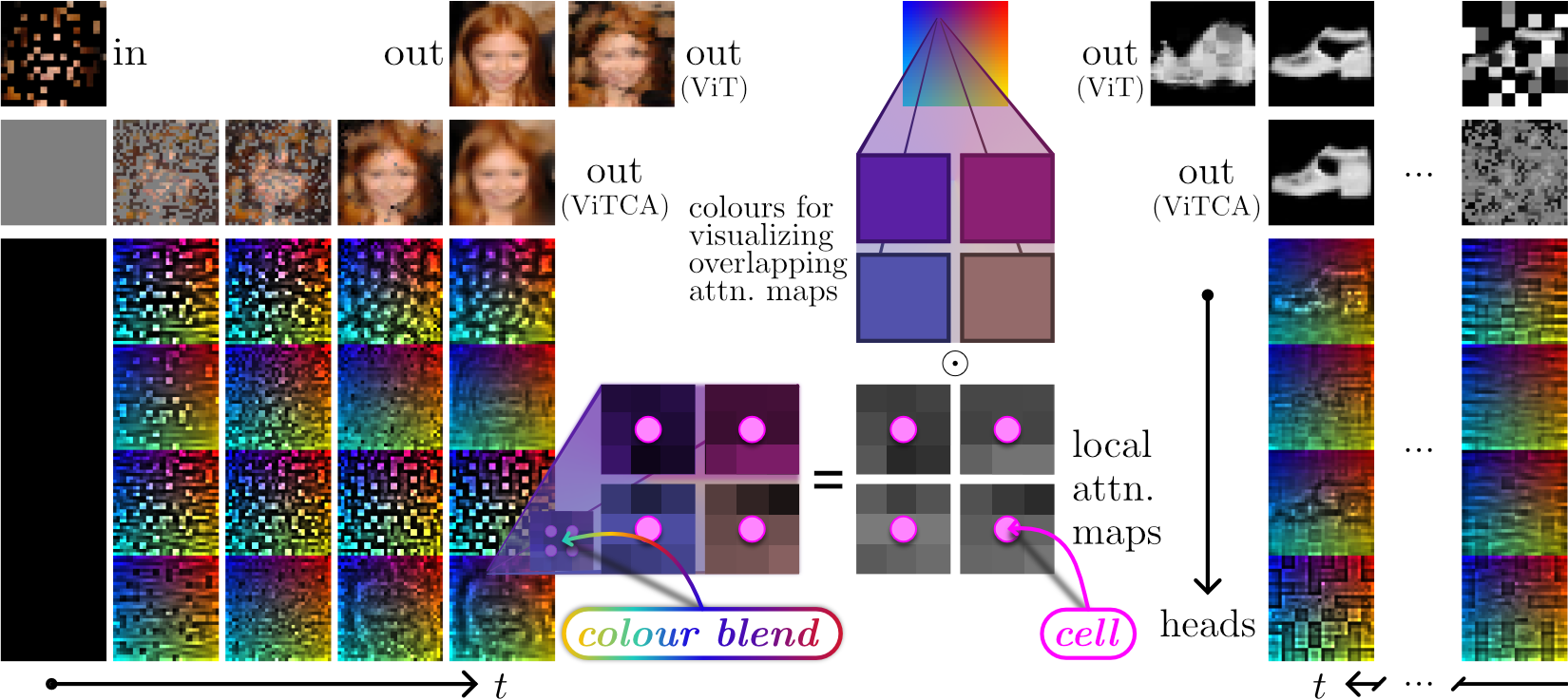 Attention-based Neural Cellular Automata | DeepAI