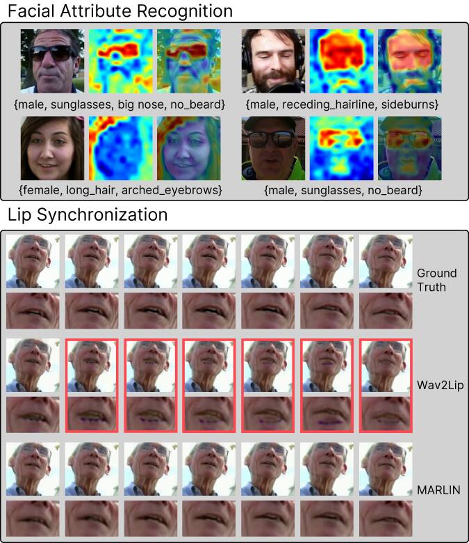 MARLIN: Masked Autoencoder for facial video Representation LearnINg ... MARLIN: Masked Autoencoder for facial video Representation LearnINg ...