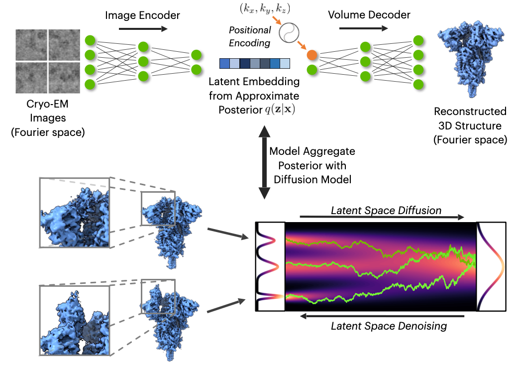 Latent Space Diffusion Models of Cryo-EM Structures | DeepAI