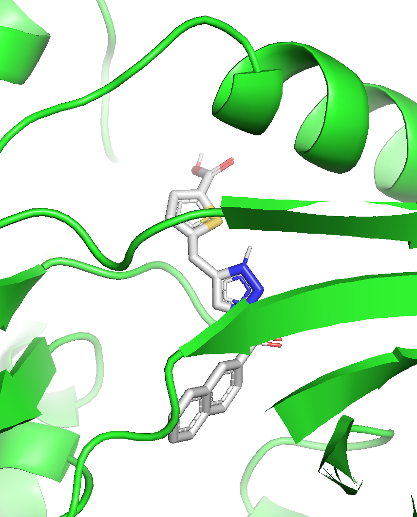 Reinforced Genetic Algorithm for Structure-based Drug Design | DeepAI