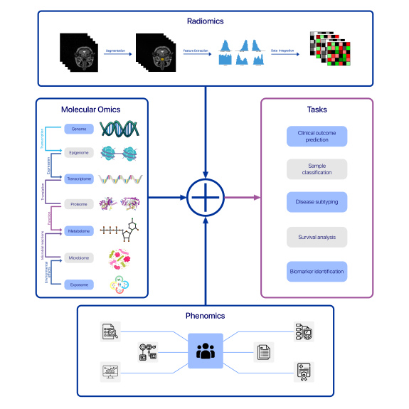 Multimodal Learning for Multi-Omics: A Survey | DeepAI