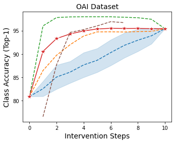Interactive Concept Bottleneck Models | DeepAI