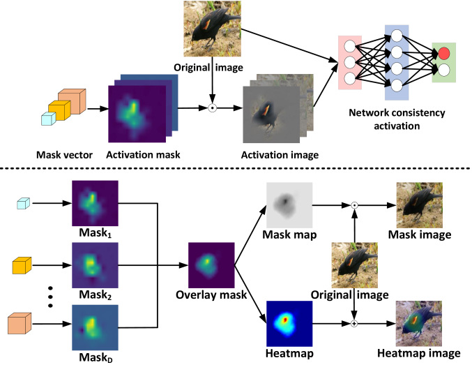 Hierarchical Dynamic Masks for Visual Explanation of Neural Networks | DeepAI