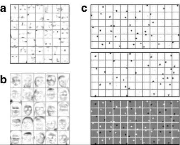 Non Negative Matrix Factorization With Sparseness Constraints Deepai