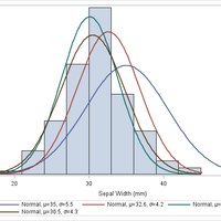 Loss Network Definition | DeepAI