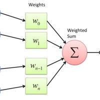 Perceptron Definition | DeepAI