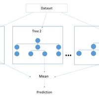 Random Forests Definition | DeepAI