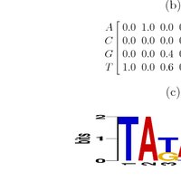 Sequence Discovery Definition | DeepAI