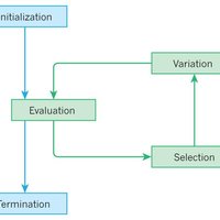 Evolutionary Computation Definition | DeepAI