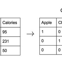 One Hot Encoding Definition | DeepAI