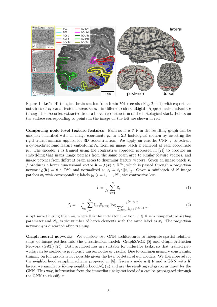 2D histology meets 3D topology: Cytoarchitectonic brain mapping with ...