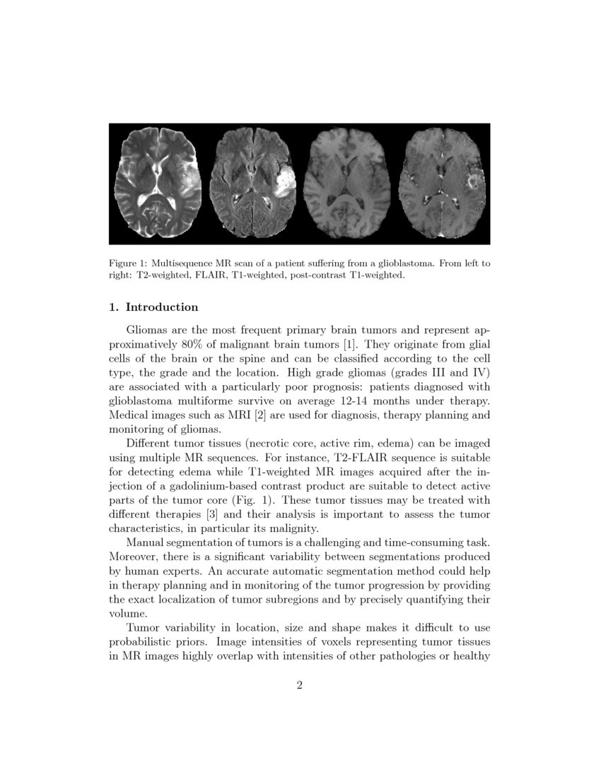 3d Convolutional Neural Networks For Tumor Segmentation Using Long 5544