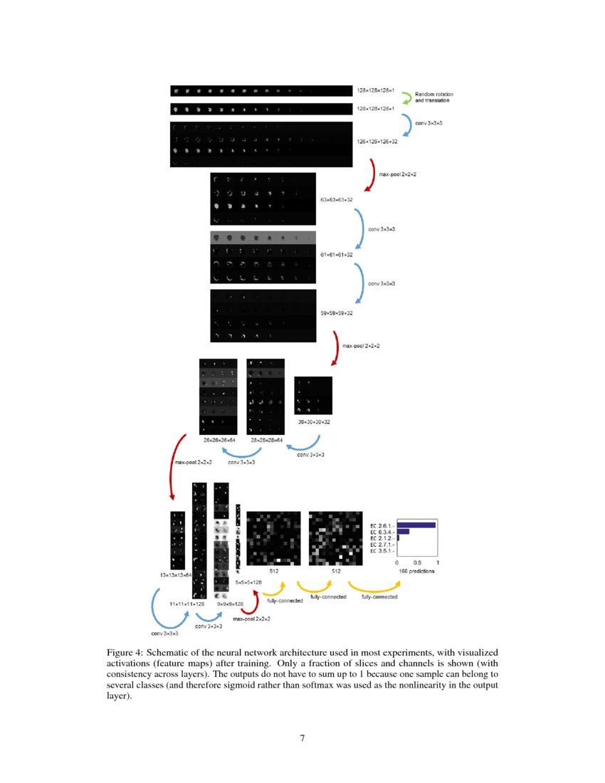 3D Deep Learning for Biological Function Prediction from Physical ...