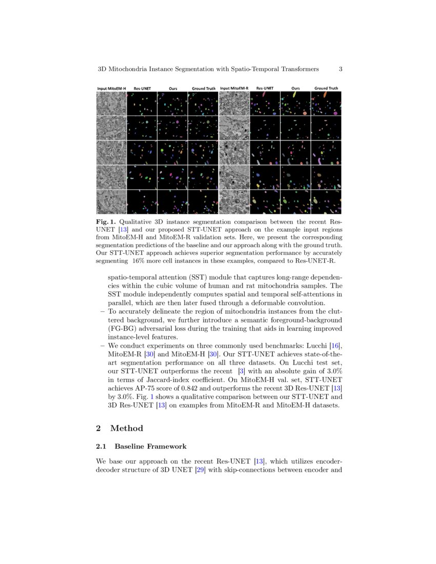 3d Mitochondria Instance Segmentation With Spatio Temporal Transformers Deepai