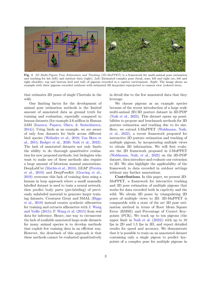 3D-MuPPET: 3D Multi-Pigeon Pose Estimation and Tracking | DeepAI