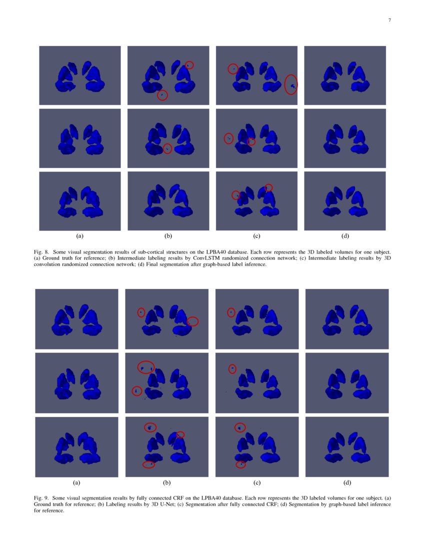 3D Randomized Connection Network with Graph-based Label Inference | DeepAI
