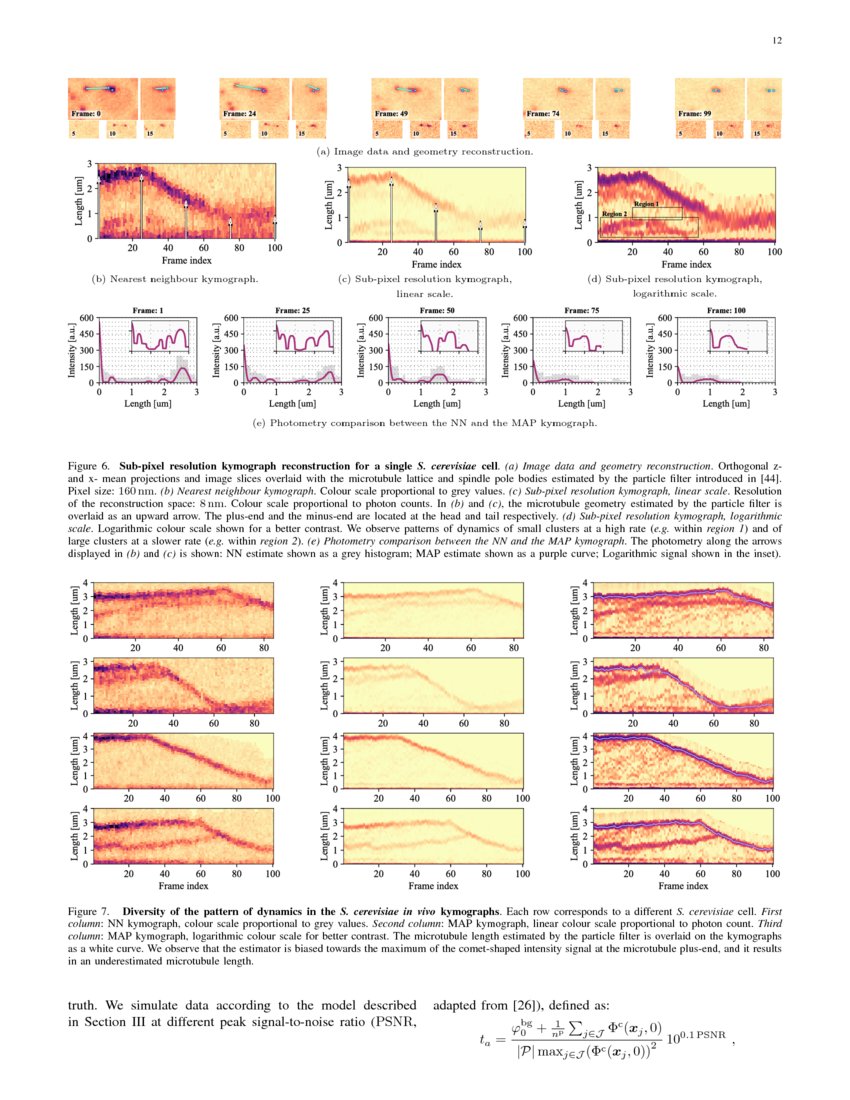 A Bayesian framework for the analog reconstruction of kymographs from fluorescence microscopy ...