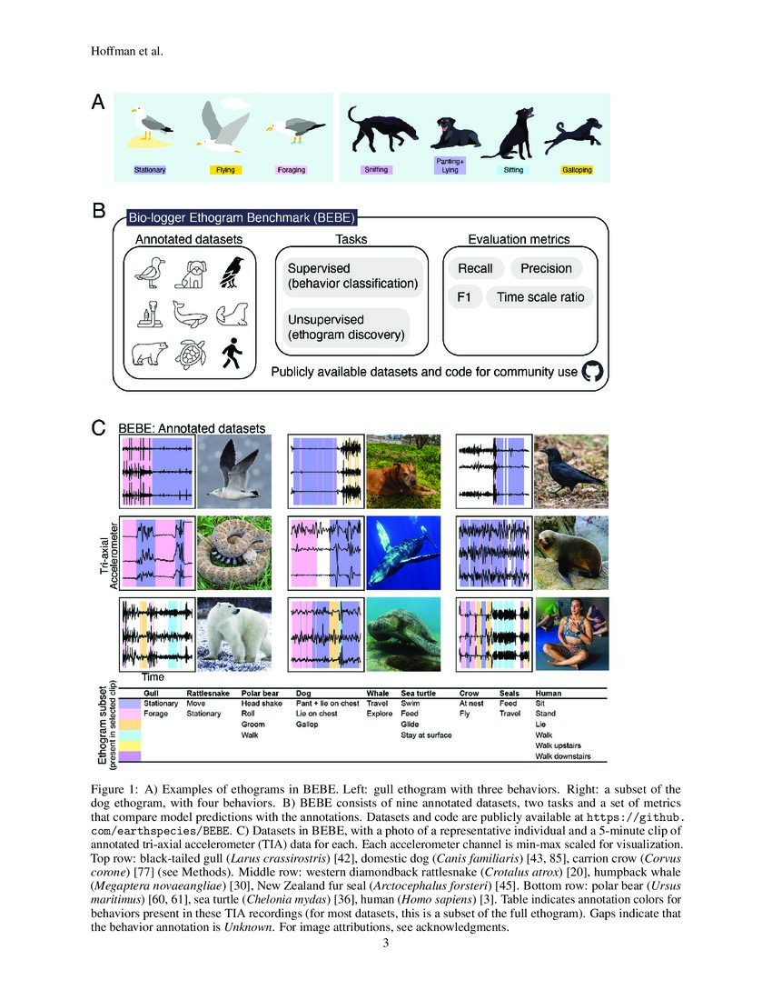 A benchmark for computational analysis of animal behavior, using animal-borne tags | DeepAI