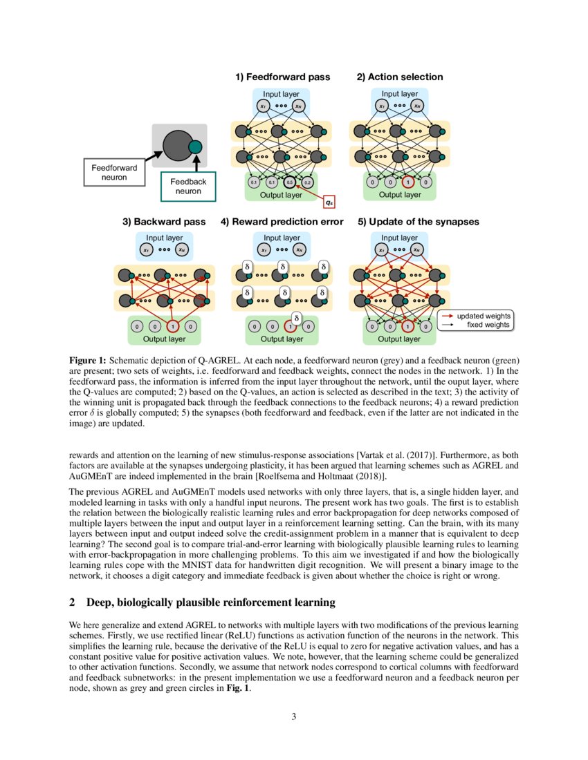 A Biologically Plausible Learning Rule for Deep Learning in the Brain | DeepAI