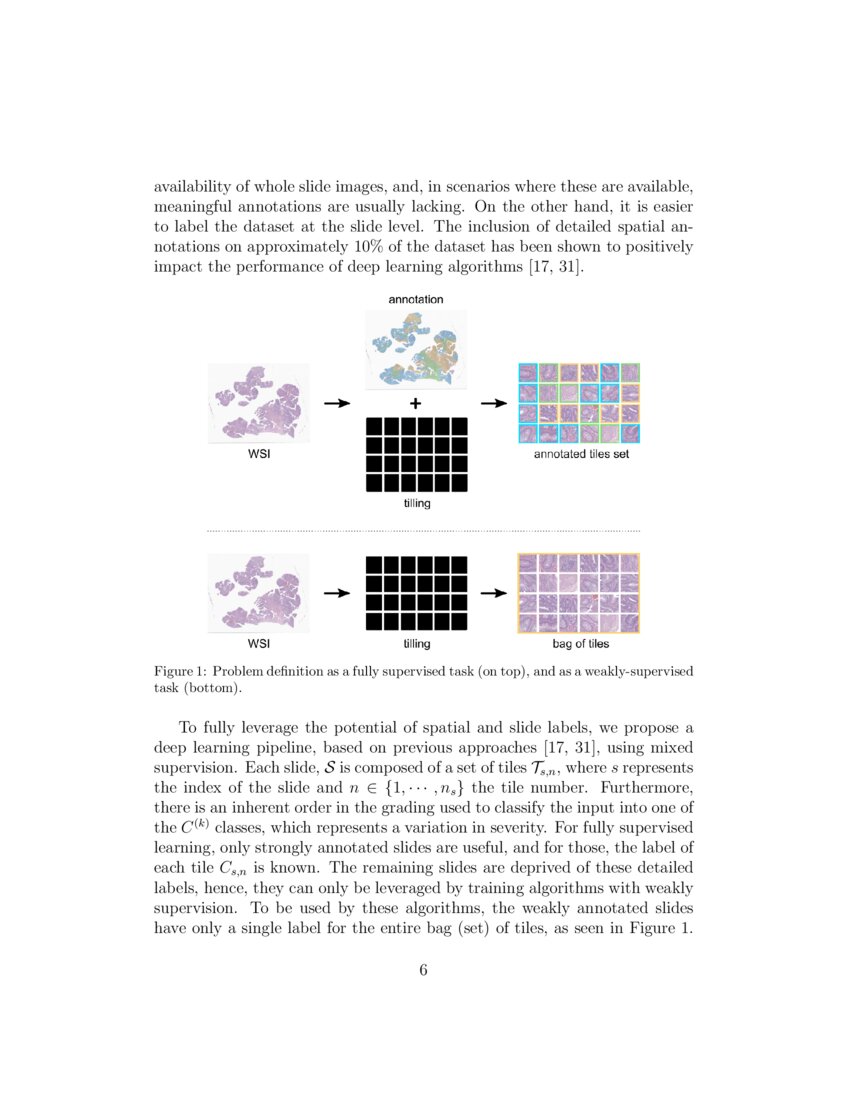 A CAD System for Colorectal Cancer from WSI: A Clinically Validated Interpretable ML-based ...