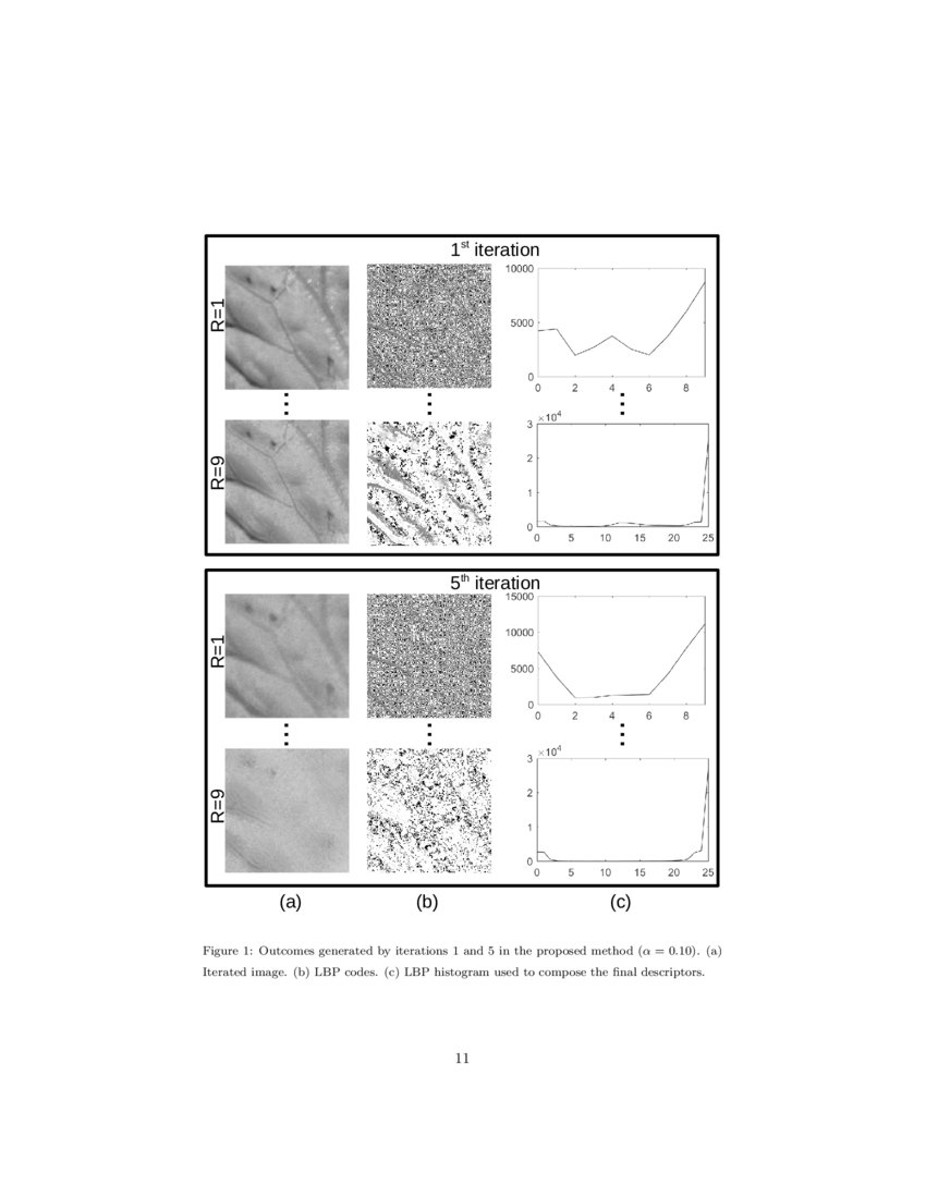 A Cellular Automata Approach To Local Patterns For Texture Recognition Deepai