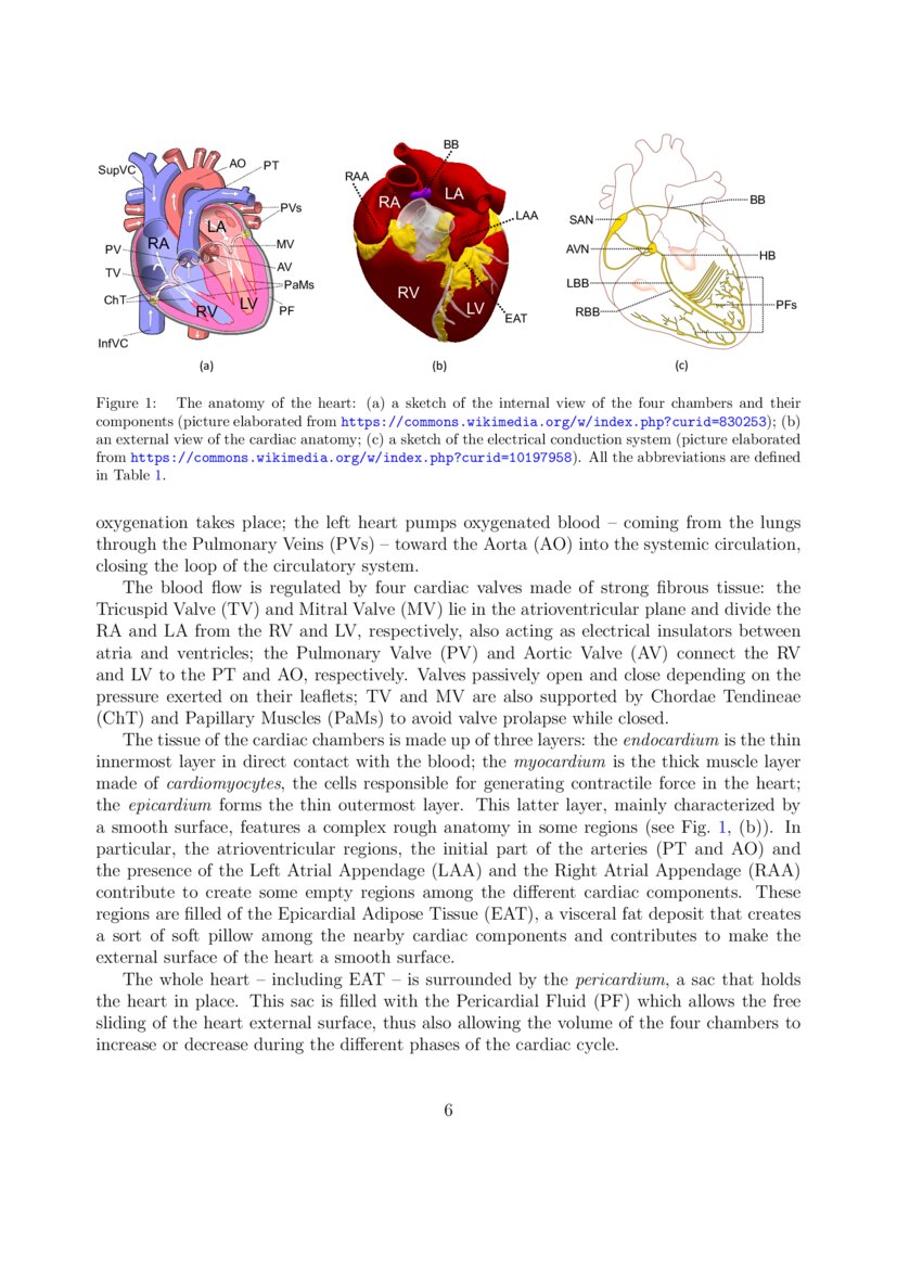 A comprehensive and biophysically detailed computational model of the ...