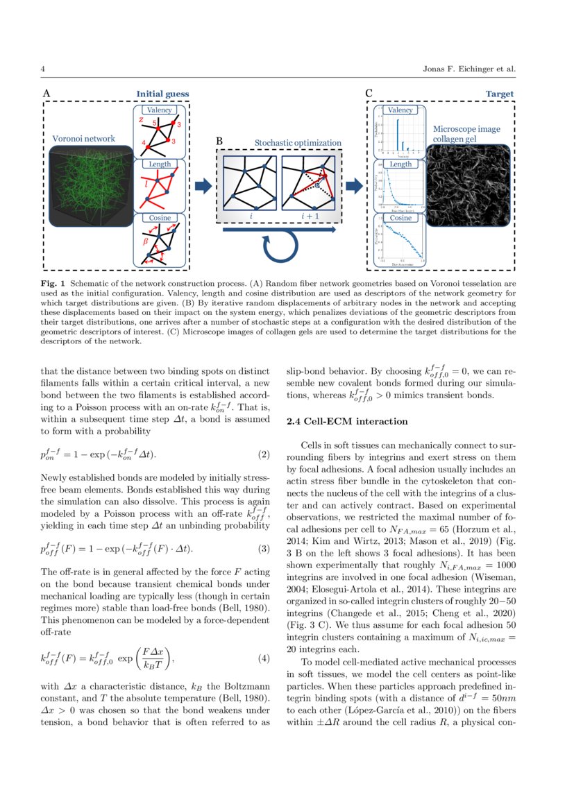 A Computational Framework For Modeling Cell Matrix Interactions In Soft