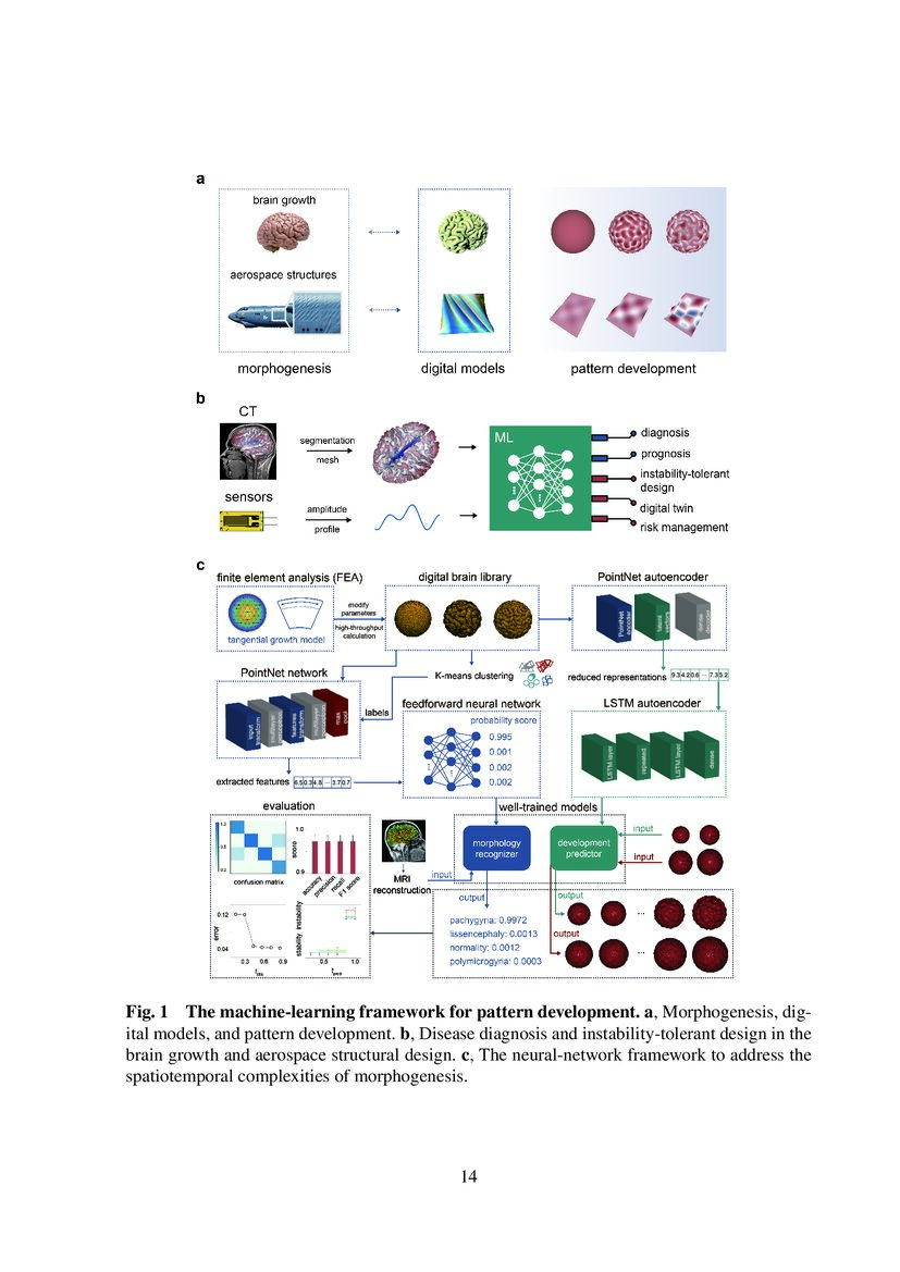 A Data-Driven Approach to Morphogenesis under Structural Instability | DeepAI
