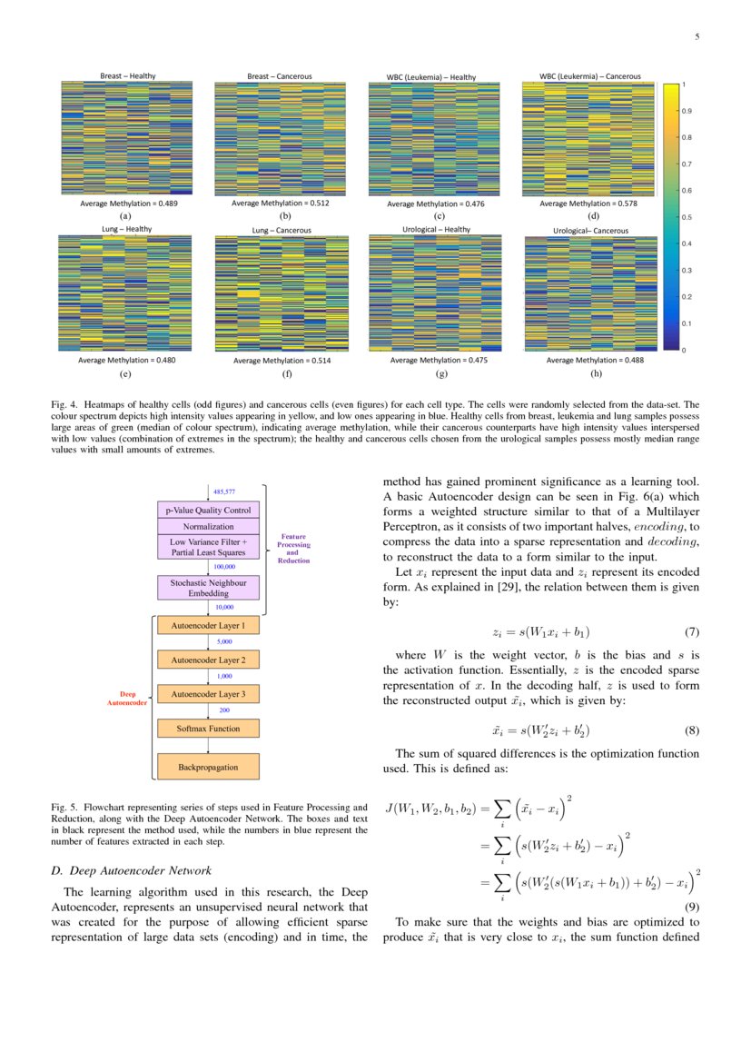 A Deep Autoencoder System For Differentiation Of Cancer Types Based On Dna Methylation State