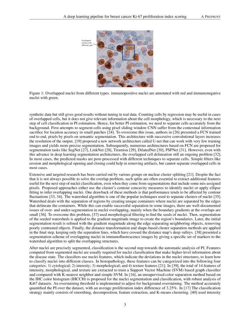 A deep learning pipeline for breast cancer ki-67 proliferation index ...