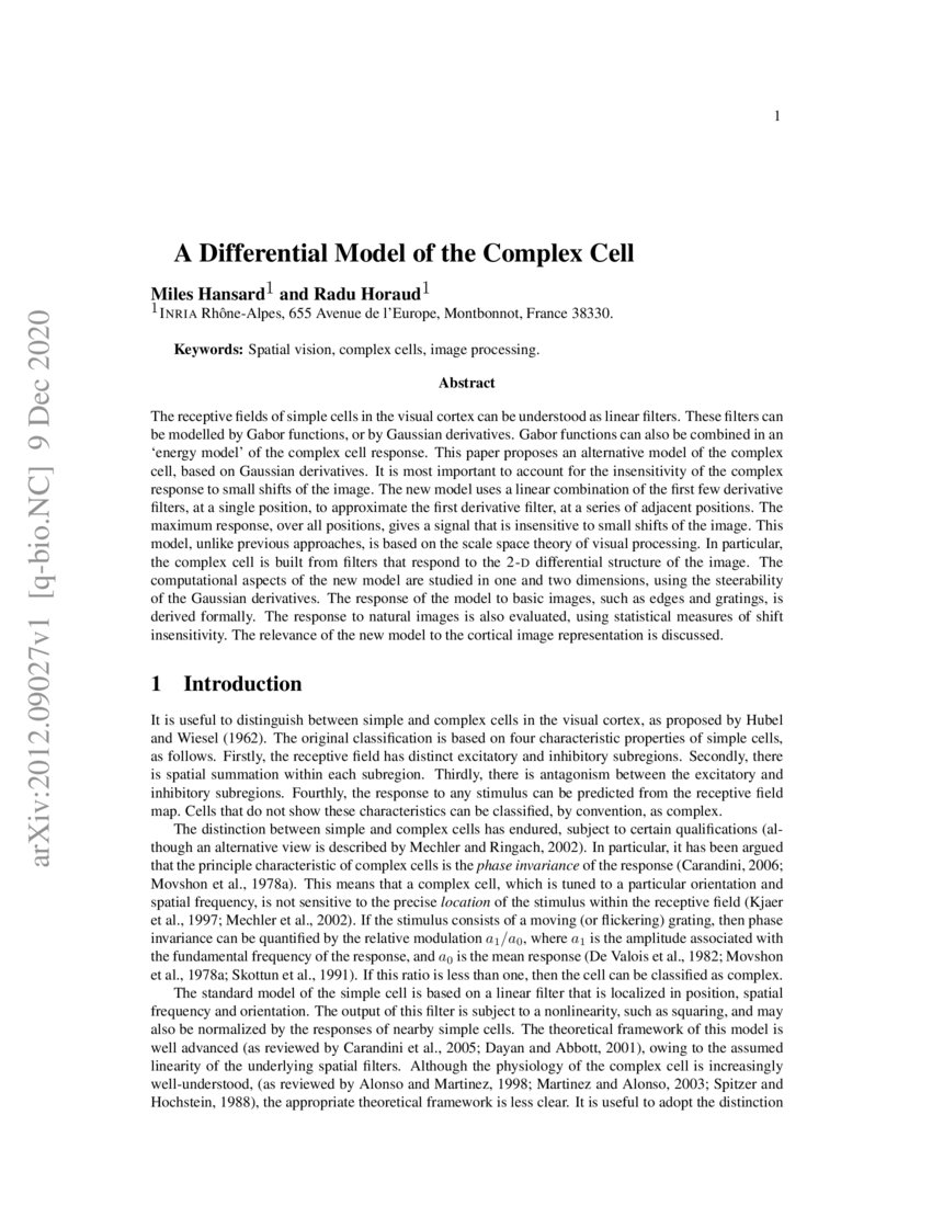 A Differential Model of the Complex Cell | DeepAI