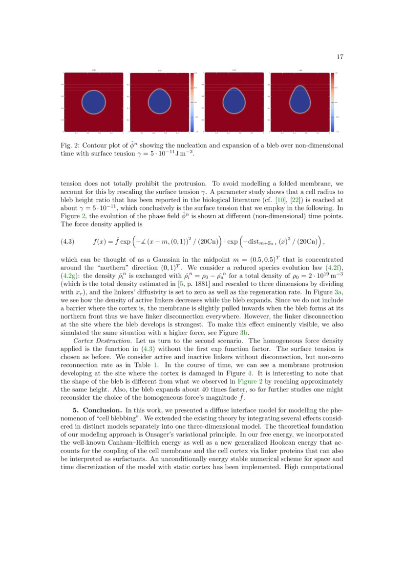 A Diffuse Interface Model For Cell Blebbing Including Membrane Cortex Coupling With Linker